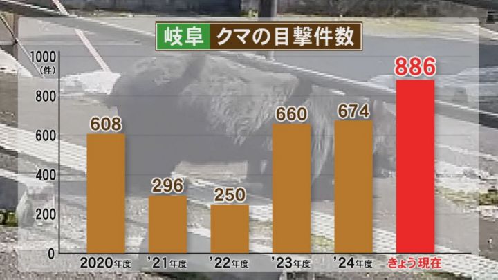 「生で見ると恐怖感が…」岐阜県大野町でクマ目撃相次ぐ 隣町のマラソン大会では“爆竹”使って徹底対策 - Locipo（ロキポ） 無料テレビ動画・見逃しネット配信サービス